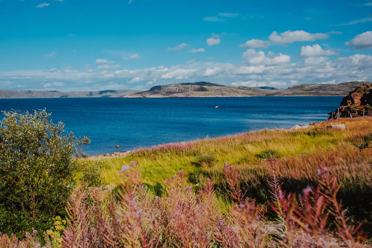 Mareridt og ødelæggelse Teriberis i Murmansk-regionen i Lens Mary Mitrofanova 3456_32