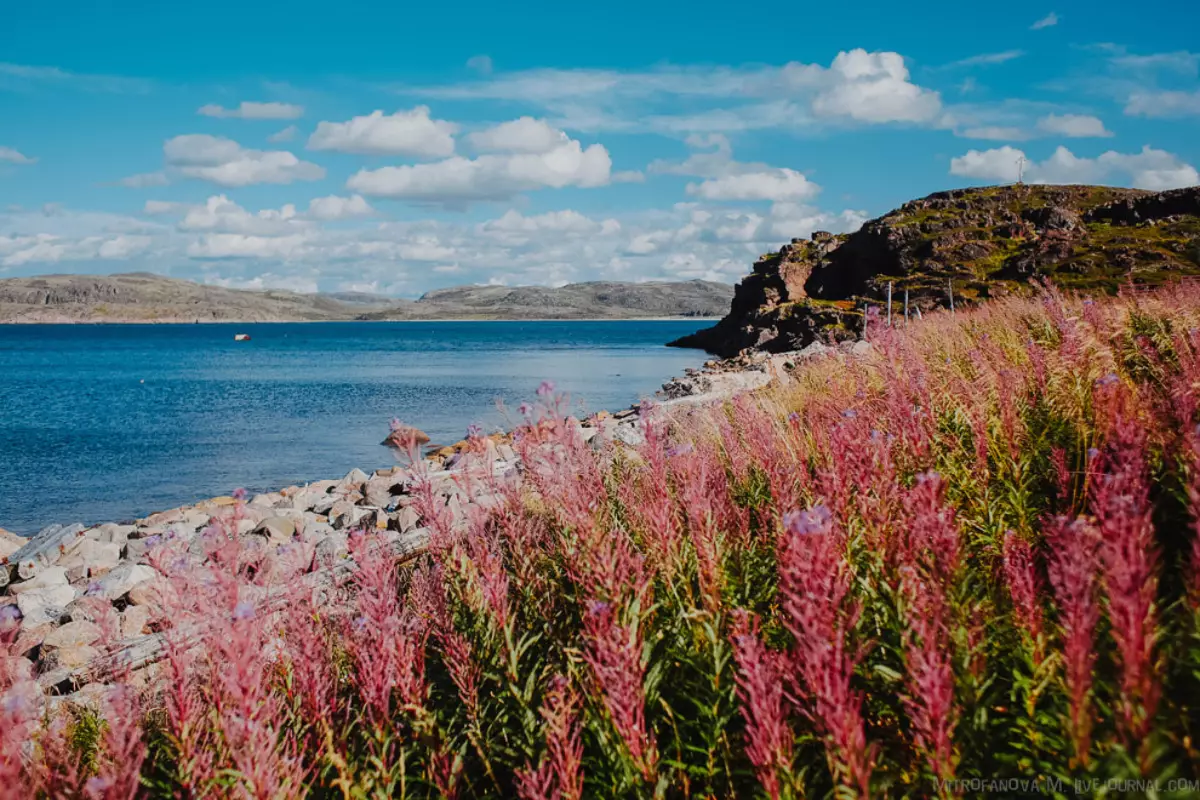 Mareridt og ødelæggelse Teriberis i Murmansk-regionen i Lens Mary Mitrofanova 3456_33