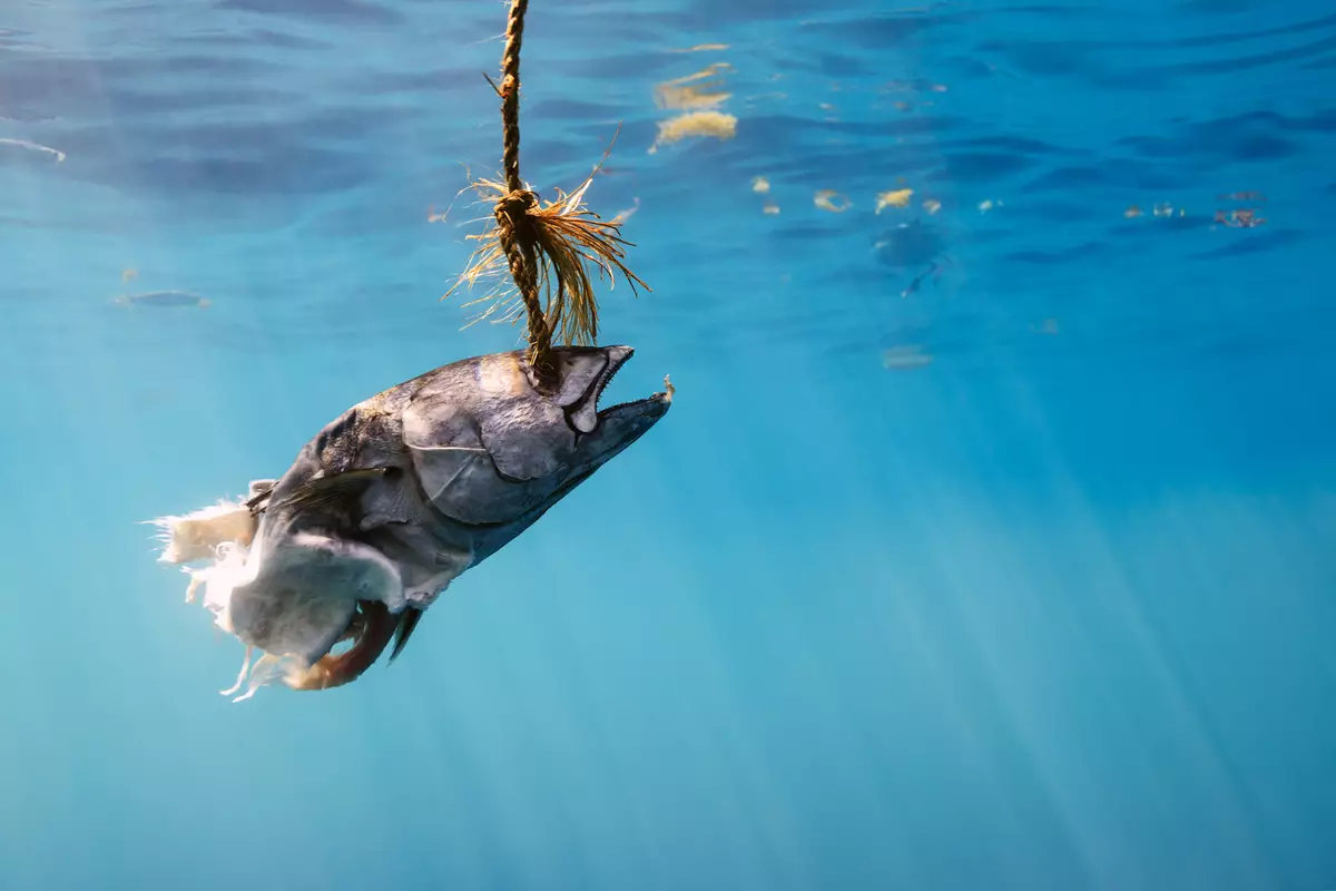 Underwater Mifananidzo yeTodod Bretla (Todd Bretl)