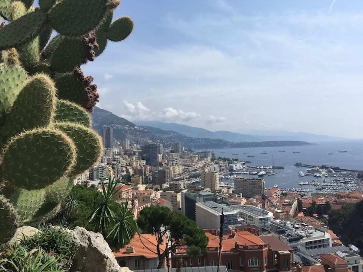 CACTI IN MONACO !!! Je to bláznivé! Obrázky Masha Sharova 3531_14