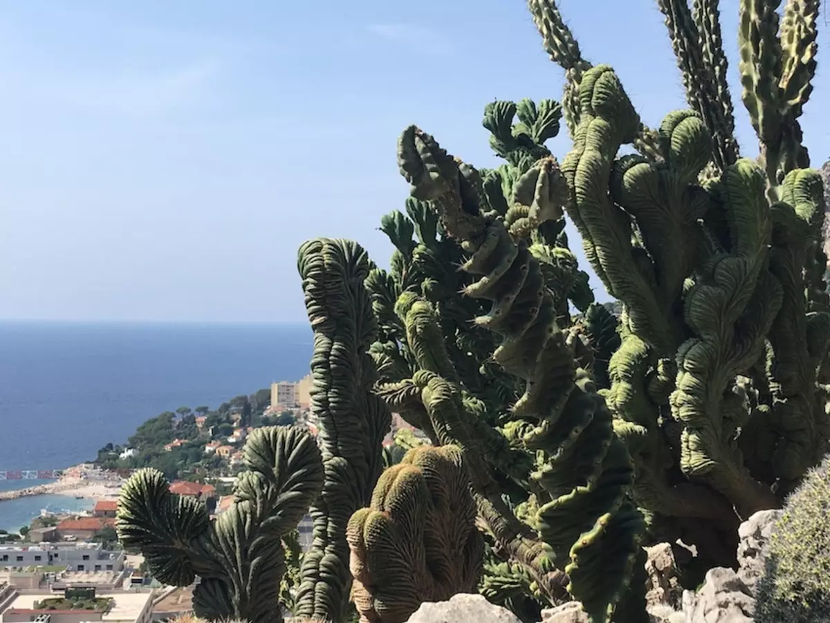 Cacti any Monaco !!! Adala izany! Sarin'i Masha Sharova 3531_2