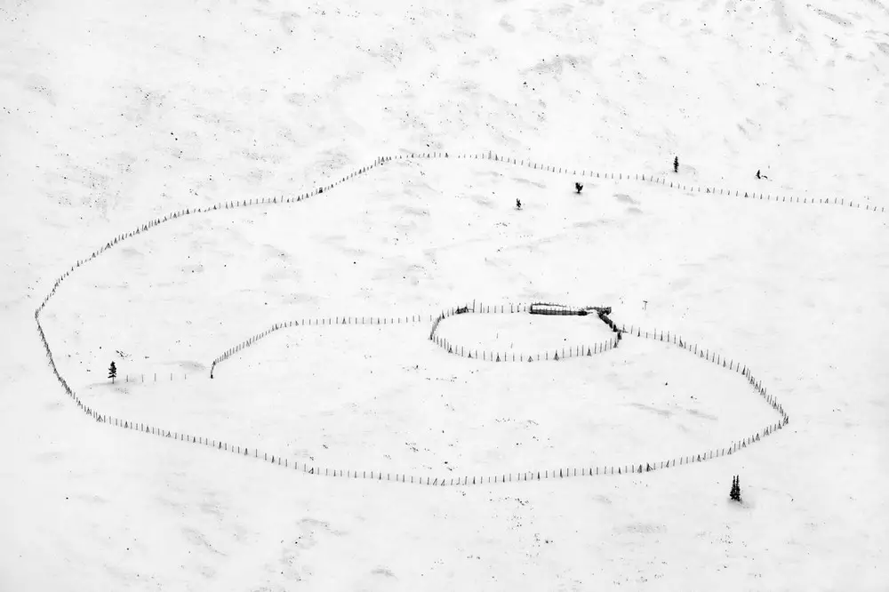 الفائزين بجوافق التصوير الفوتوغرافي للتصوير الفوتوغرافي للتصوير الفوتوغرافي اليورو الأبيض 2019 3571_1