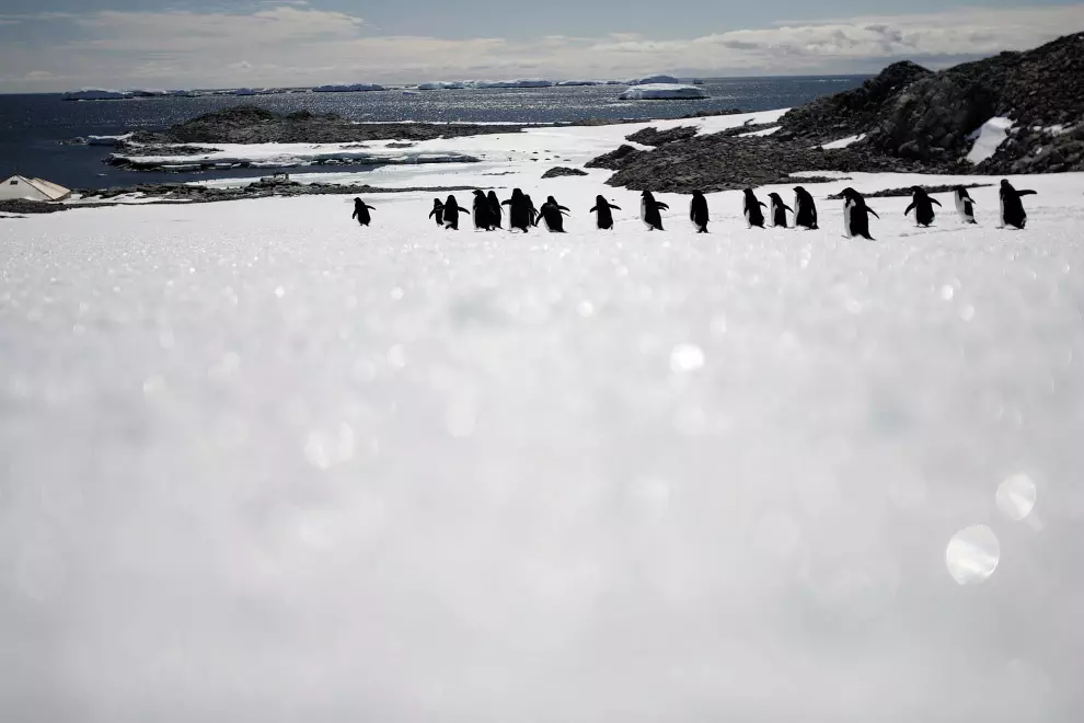 Ukuthwebula izithombe e-Antarctica, isifunda esinzima kunazo zonke sezulu somhlaba 3711_20