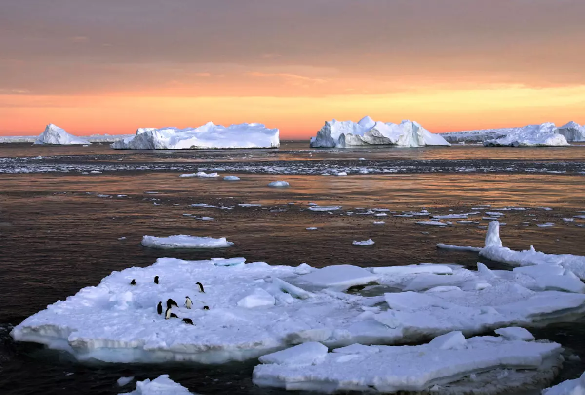 Ukuthwebula izithombe e-Antarctica, isifunda esinzima kunazo zonke sezulu somhlaba 3711_24