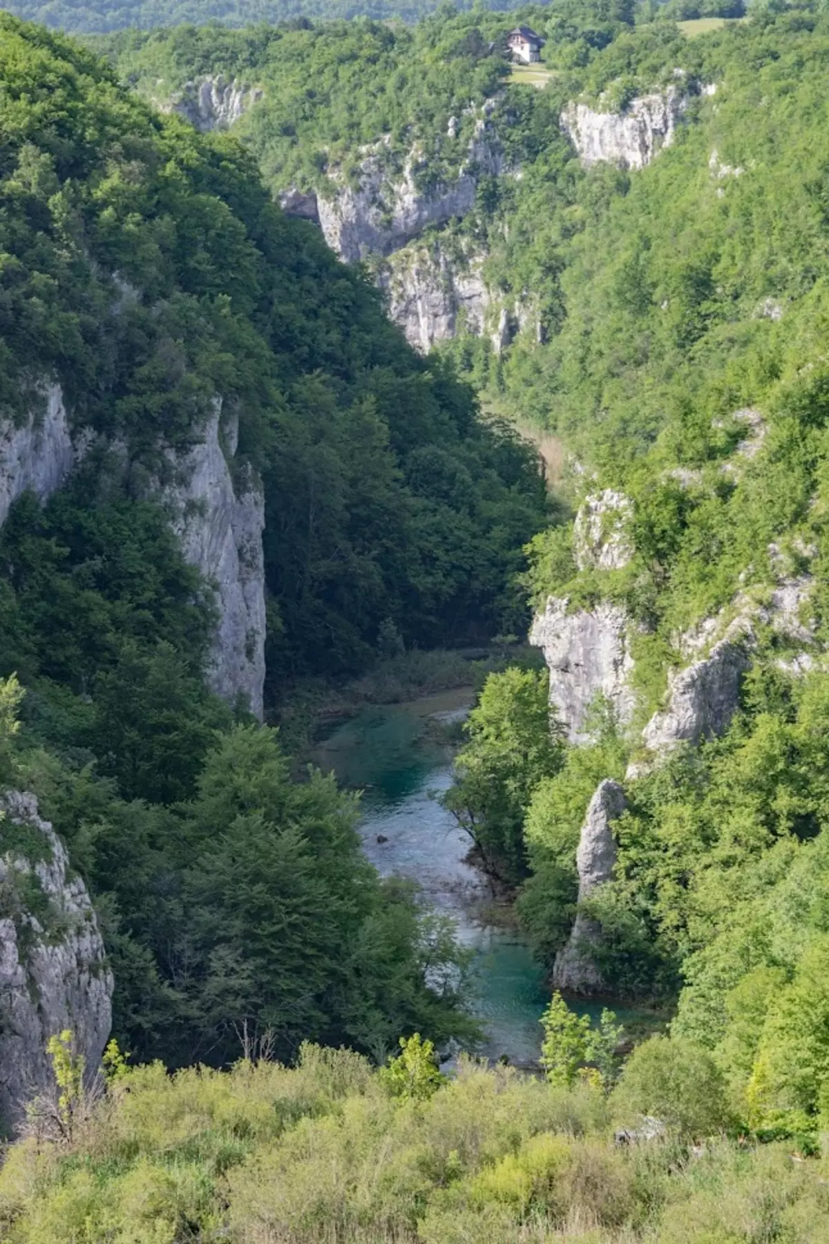 Lacurile Plitvice, cascada Veliki SLAP în lentilă;) 3719_18
