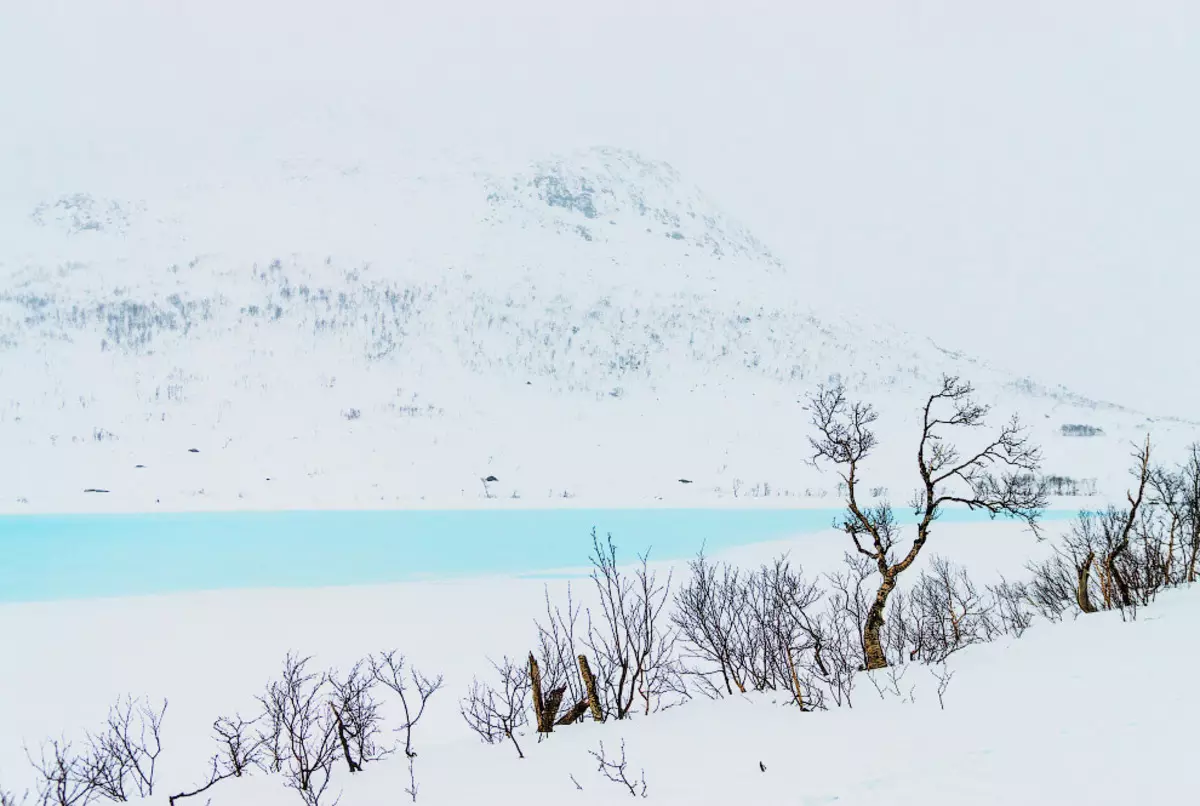 Tromso è la città più settentrionale della Norvegia nella lente del Dententenvsky Ivan 3742_14