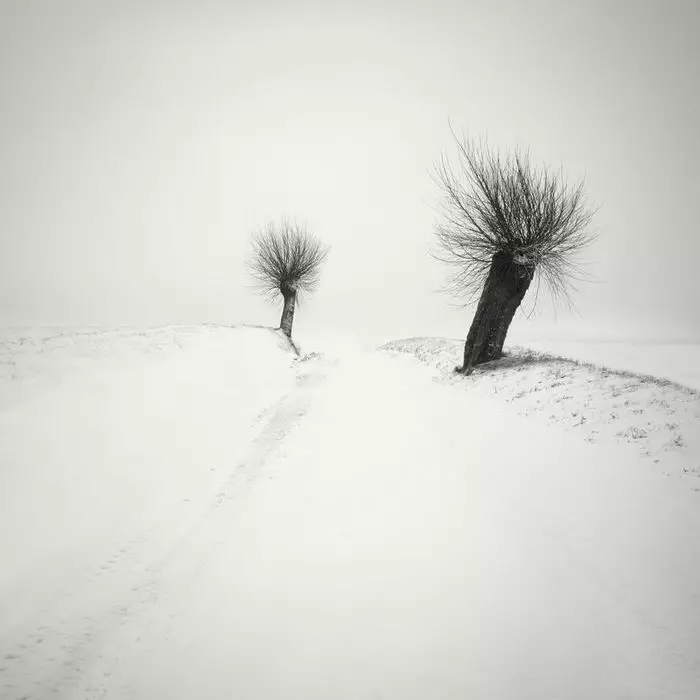 Тиша, снігові поля і самотність ... Фотограф Хакан Стренд (Hakan Strand) 3814_1