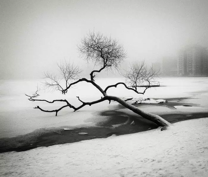 Тиша, снігові поля і самотність ... Фотограф Хакан Стренд (Hakan Strand) 3814_10