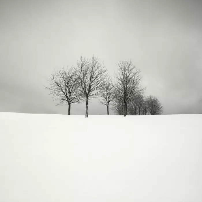 Silence, Snowy Fields และความเหงา ... ช่างภาพ Hakan Stand (Hakan Strand) 3814_11