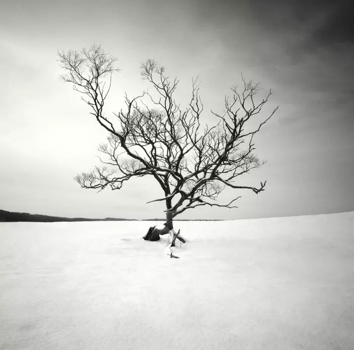 Cisza, śnieżne pola i samotność ... Fotograf Hakan Stand (Hakan Strand) 3814_12