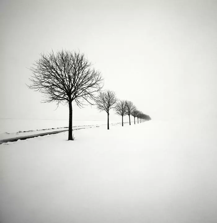 Тиша, снігові поля і самотність ... Фотограф Хакан Стренд (Hakan Strand) 3814_13