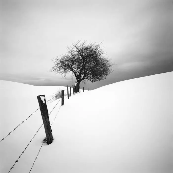 Stilte, Snowy Fields and Loneless ... Fotograaf Hakan Stand (Hakan Strand) 3814_14