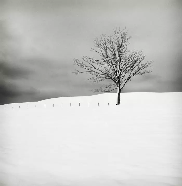 Silence, Snowy Fields และความเหงา ... ช่างภาพ Hakan Stand (Hakan Strand) 3814_15