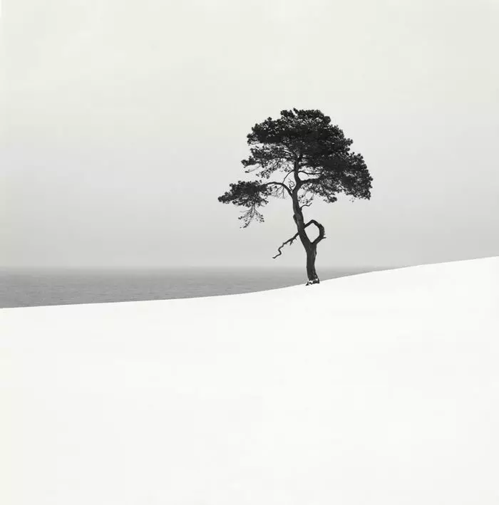 Cisza, śnieżne pola i samotność ... Fotograf Hakan Stand (Hakan Strand) 3814_17