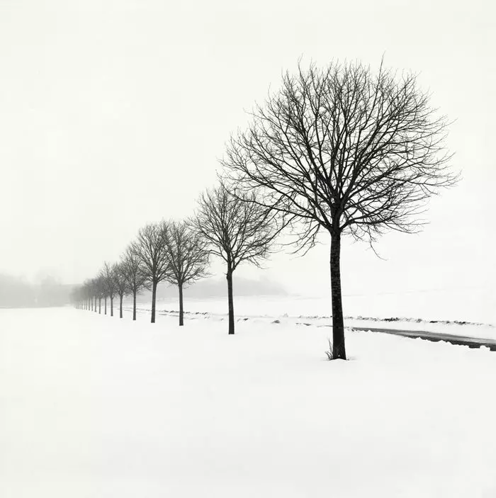 Тиша, снігові поля і самотність ... Фотограф Хакан Стренд (Hakan Strand) 3814_18