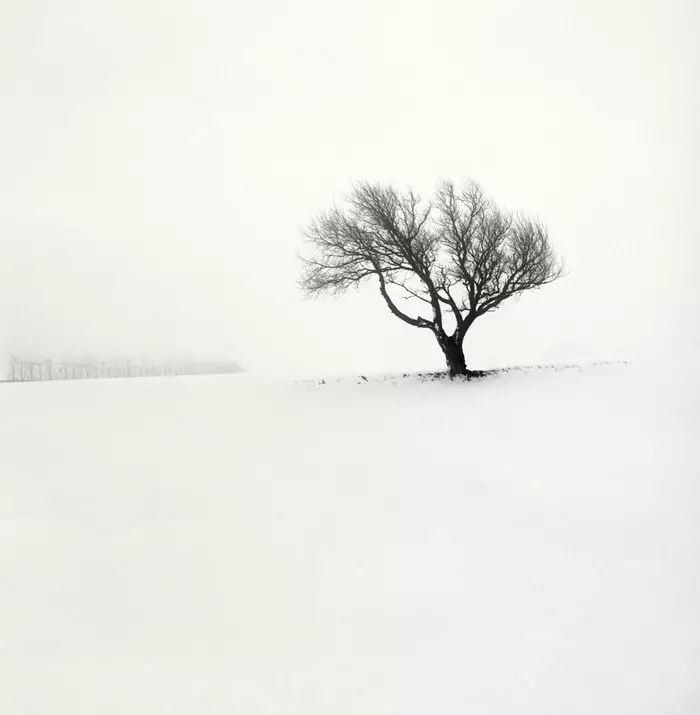 Мълчание, снежни полета и самота ... Фотограф Хакан Стоун (Hakan Strand) 3814_19