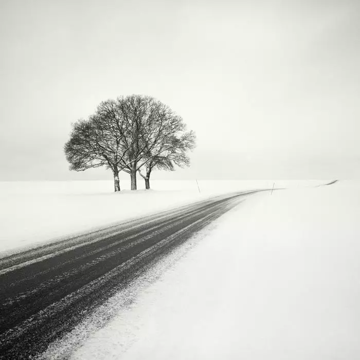 Silence, Snowy Fields และความเหงา ... ช่างภาพ Hakan Stand (Hakan Strand) 3814_2