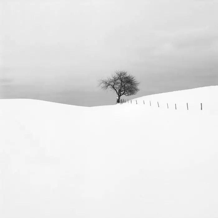 Silence, Snowy Fields และความเหงา ... ช่างภาพ Hakan Stand (Hakan Strand) 3814_3