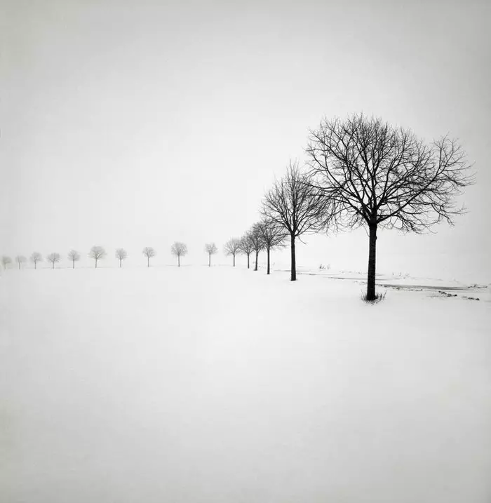 Stilte, Snowy Fields and Loneless ... Fotograaf Hakan Stand (Hakan Strand) 3814_4