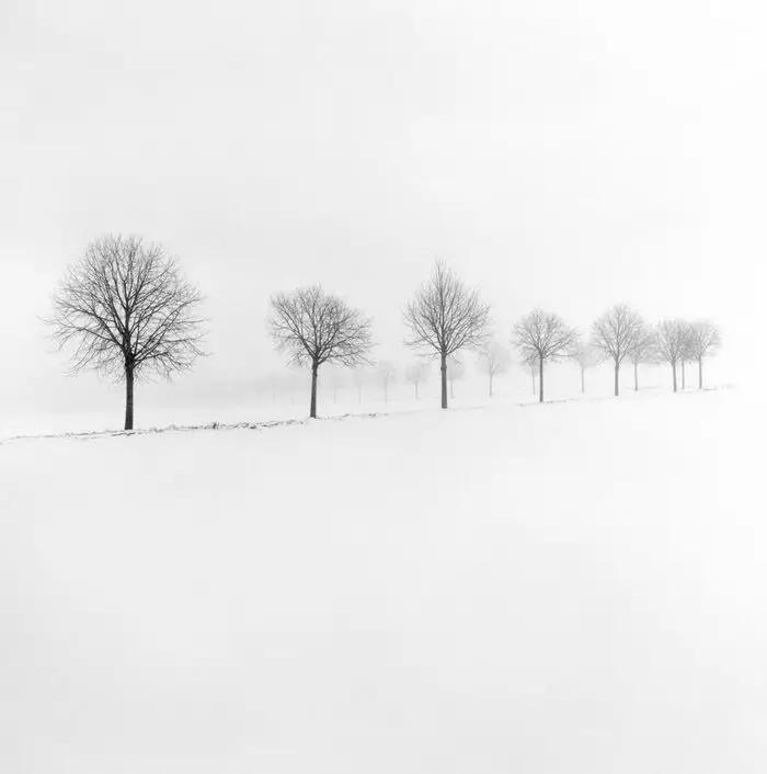 Тиша, снігові поля і самотність ... Фотограф Хакан Стренд (Hakan Strand) 3814_5