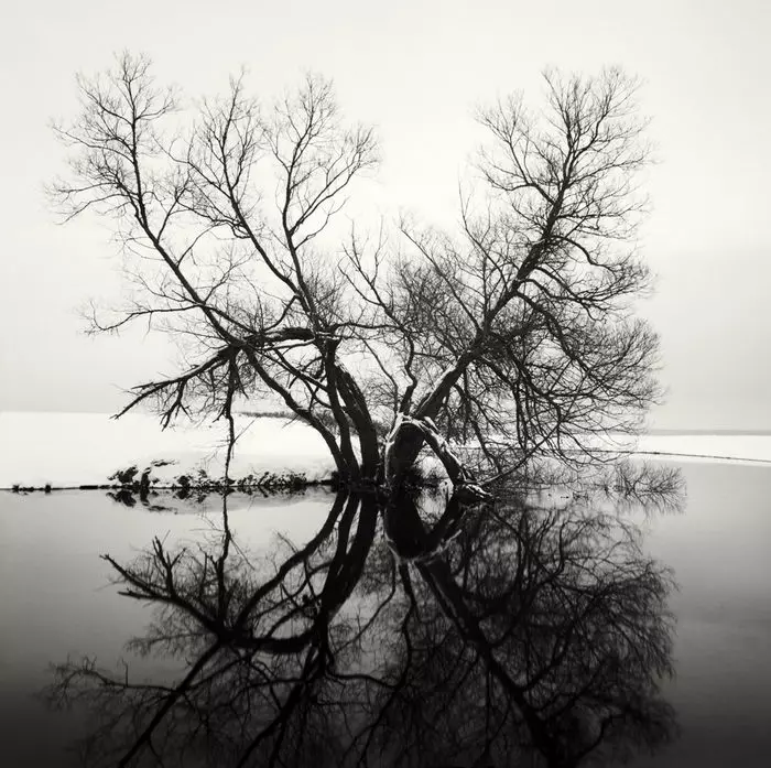 Cisza, śnieżne pola i samotność ... Fotograf Hakan Stand (Hakan Strand) 3814_6