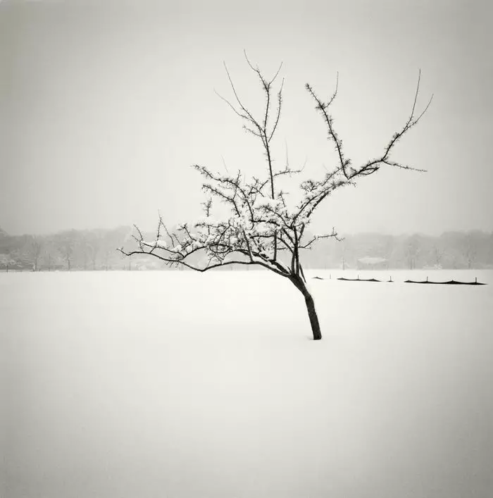 Мълчание, снежни полета и самота ... Фотограф Хакан Стоун (Hakan Strand) 3814_7