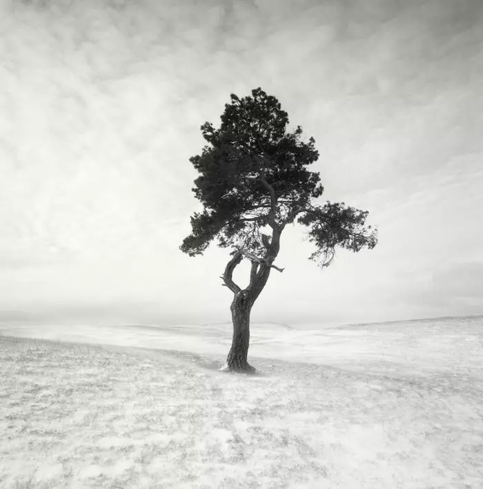 Мълчание, снежни полета и самота ... Фотограф Хакан Стоун (Hakan Strand) 3814_9