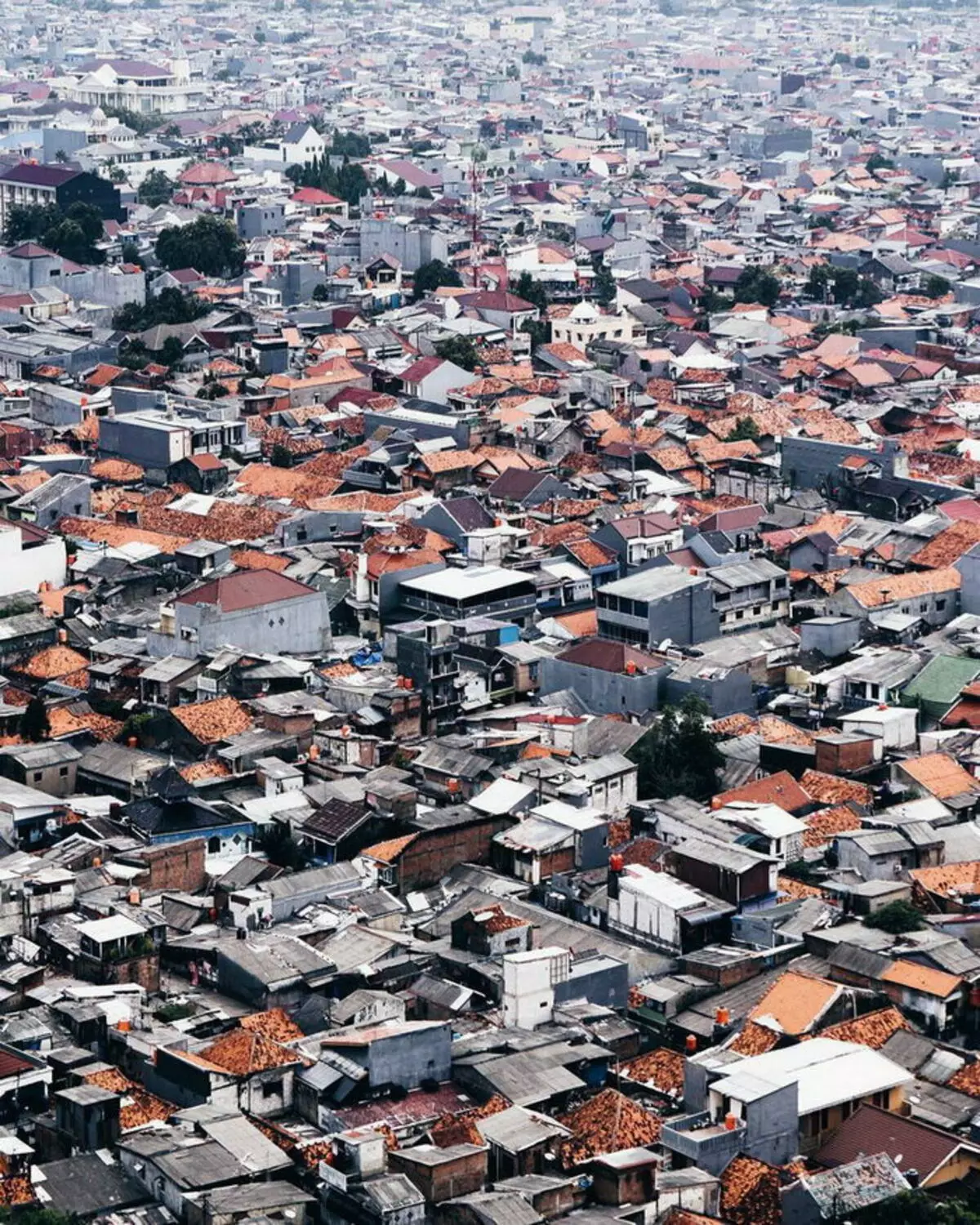 La beleco de urboj, strandoj kaj arbaroj ... Fotoj de la alteco de Demas Rusli (Demas Rusli) 3842_4