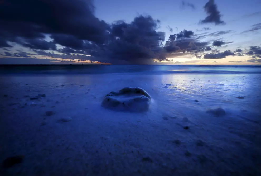 Big Barrier Reef - cel mai mare recif de corali din lume: fotografie David Gray (David Gray) 3894_12