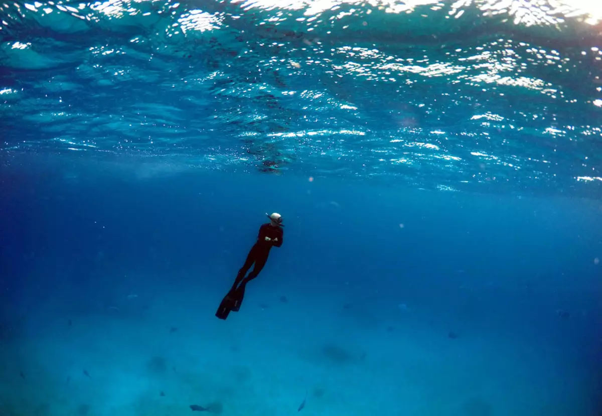 Big Barrier Reef - cel mai mare recif de corali din lume: fotografie David Gray (David Gray) 3894_13