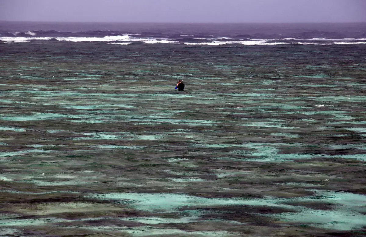 Big Barrier Reef - cel mai mare recif de corali din lume: fotografie David Gray (David Gray) 3894_15