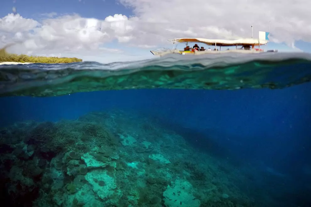 Big Barrier Reef - cel mai mare recif de corali din lume: fotografie David Gray (David Gray) 3894_8