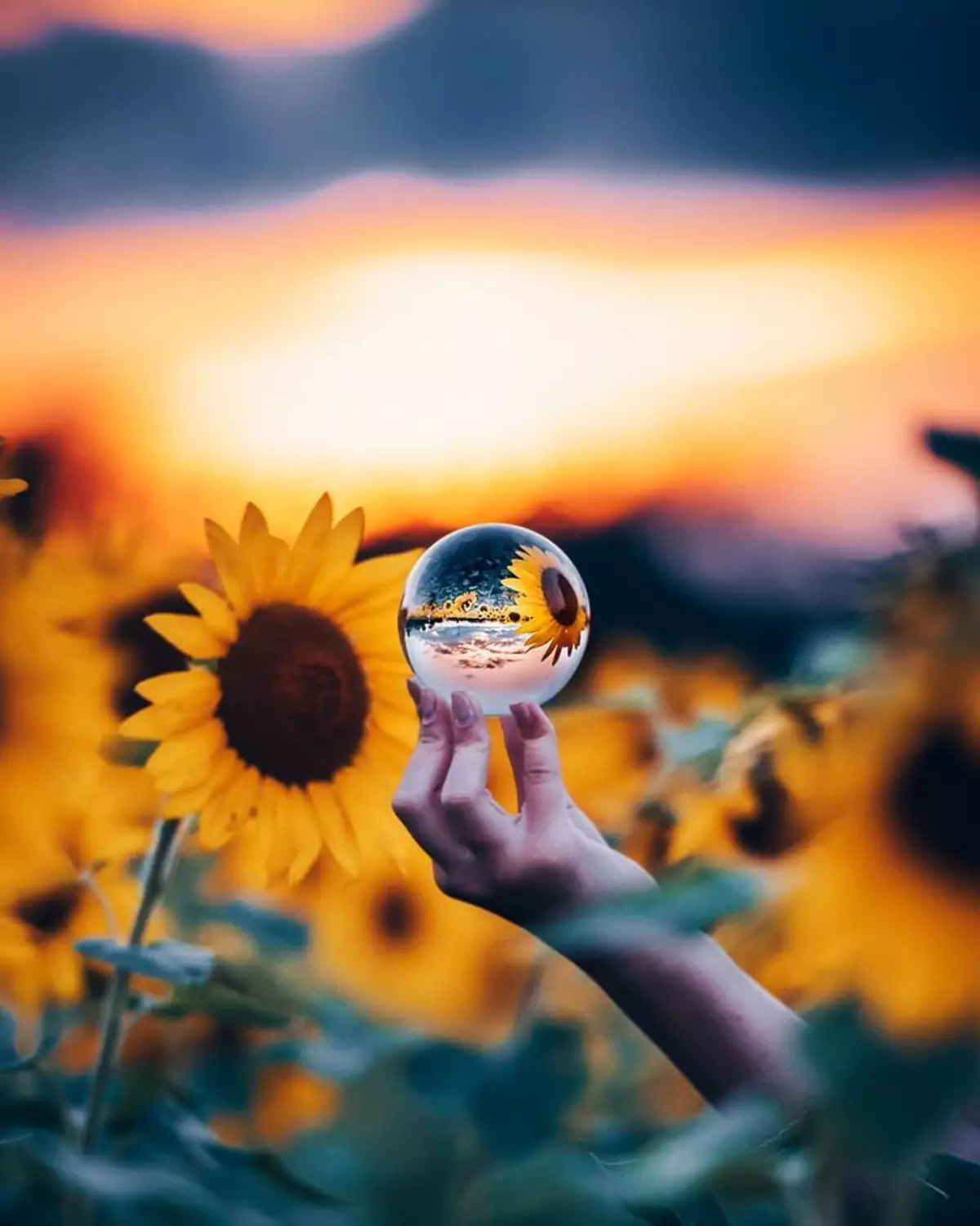 Sphère de cristal - le monde entre tes mains! Choisissez LinzBall pour la prise de vue 3901_18