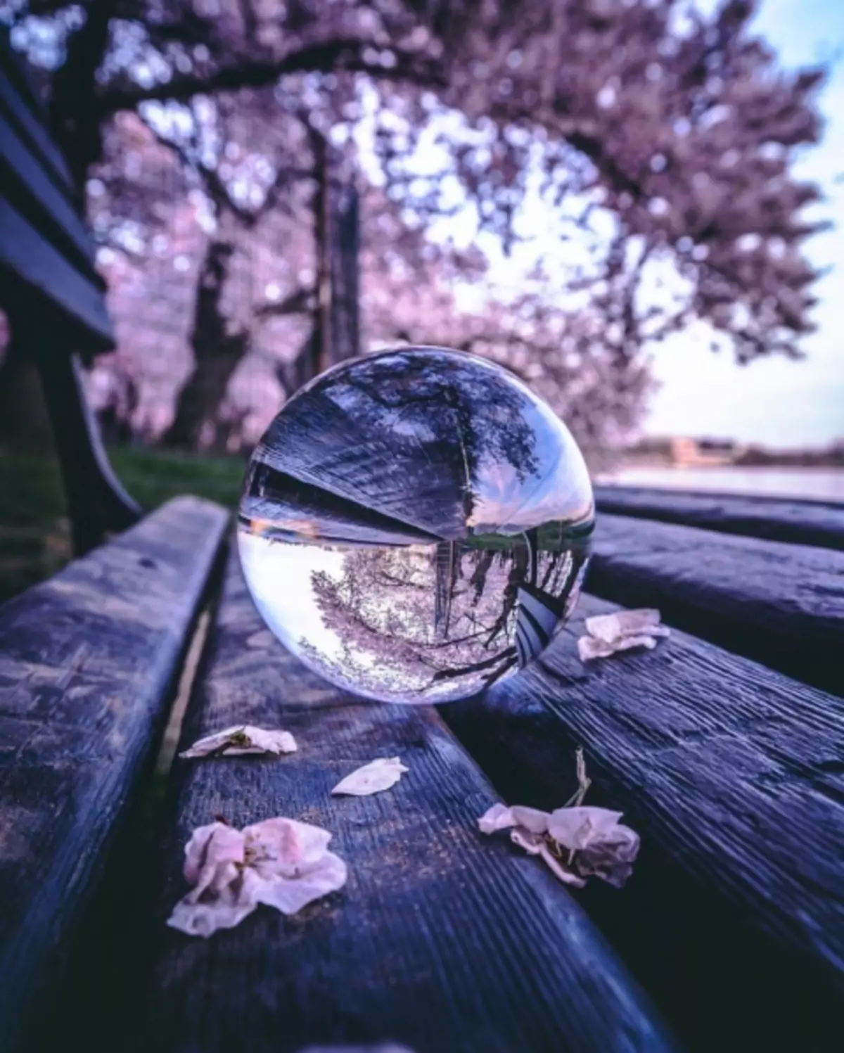 Sphère de cristal - le monde entre tes mains! Choisissez LinzBall pour la prise de vue 3901_3