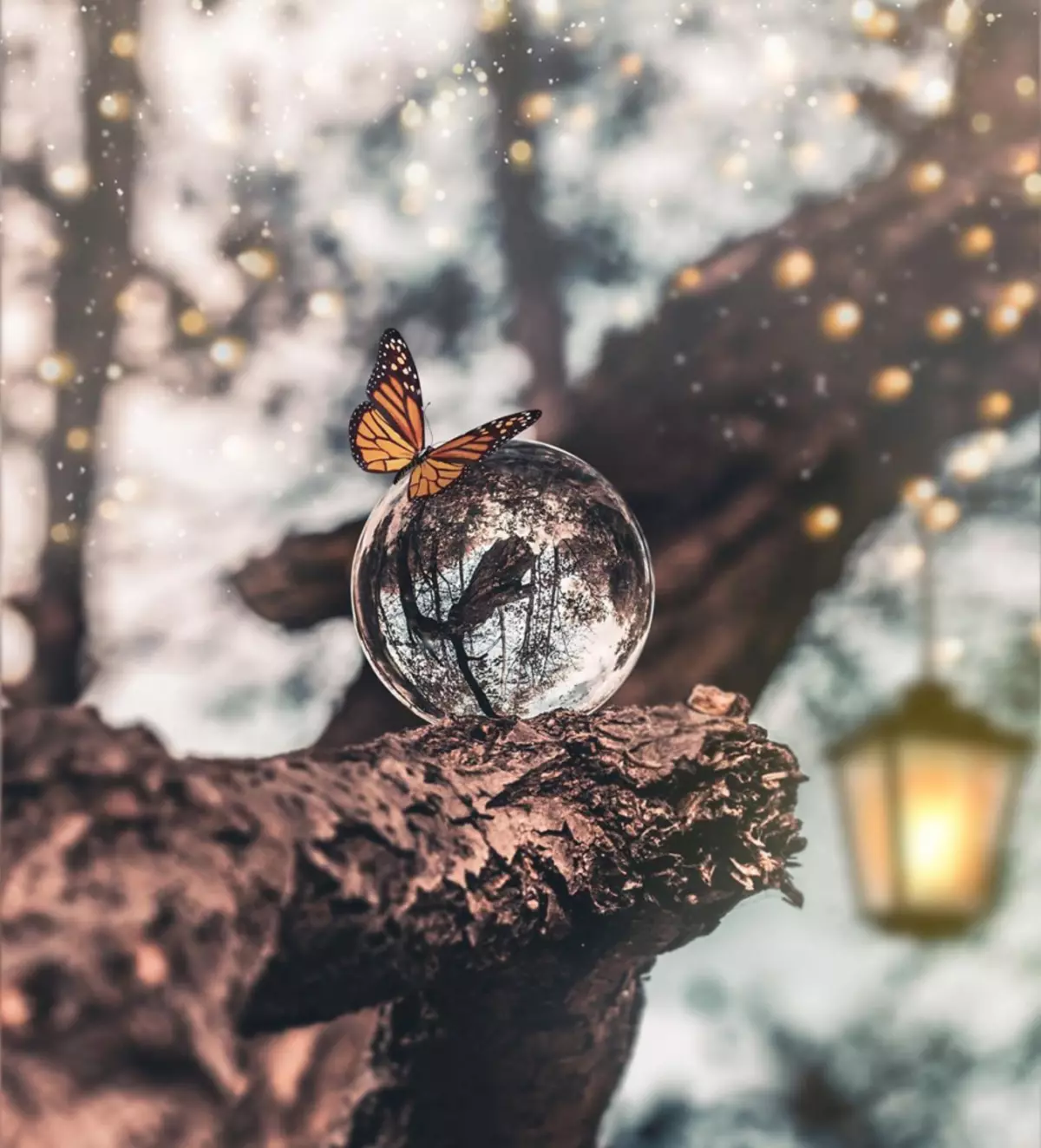 Sphère de cristal - le monde entre tes mains! Choisissez LinzBall pour la prise de vue 3901_9