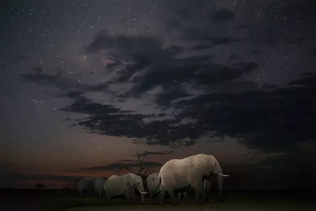 Anugerah Fotografi Sony World: Perjalanan foto dari seluruh bumi 3965_14