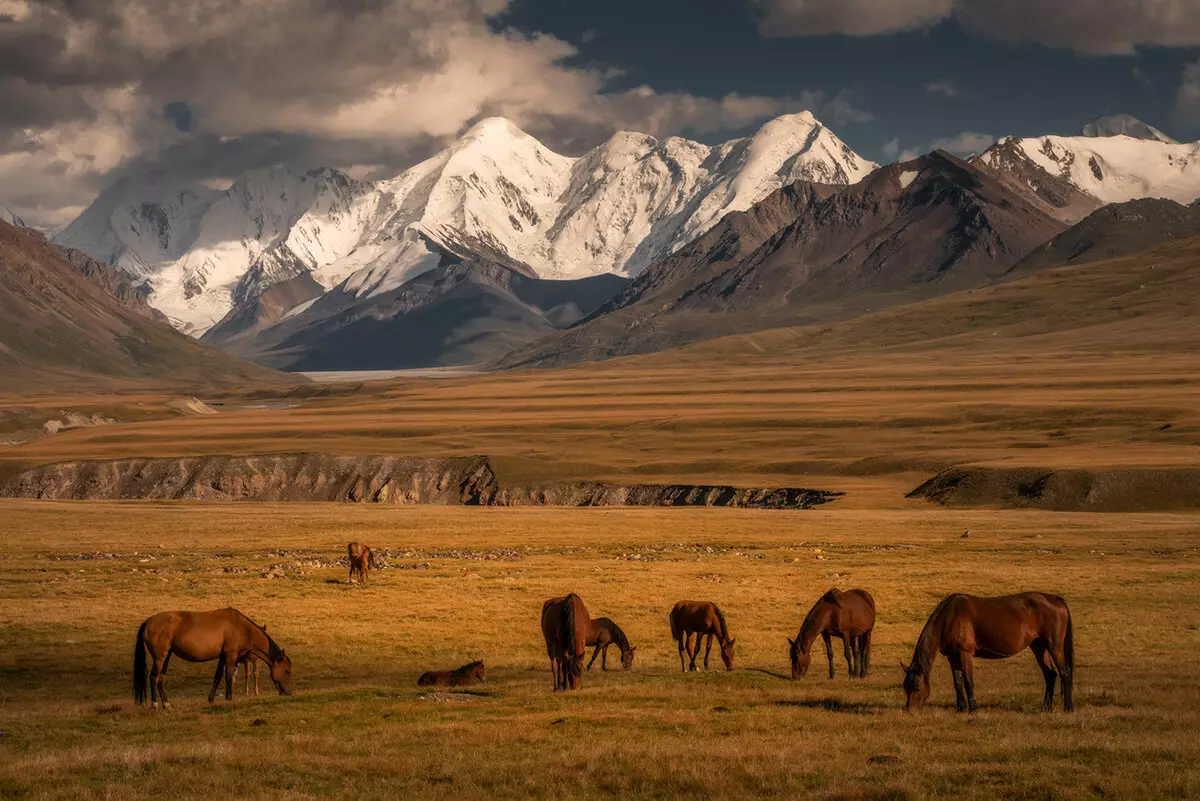 Untouched beauty of Kyrgyzstan from Albert Dros (Albert Dros) 4109_24