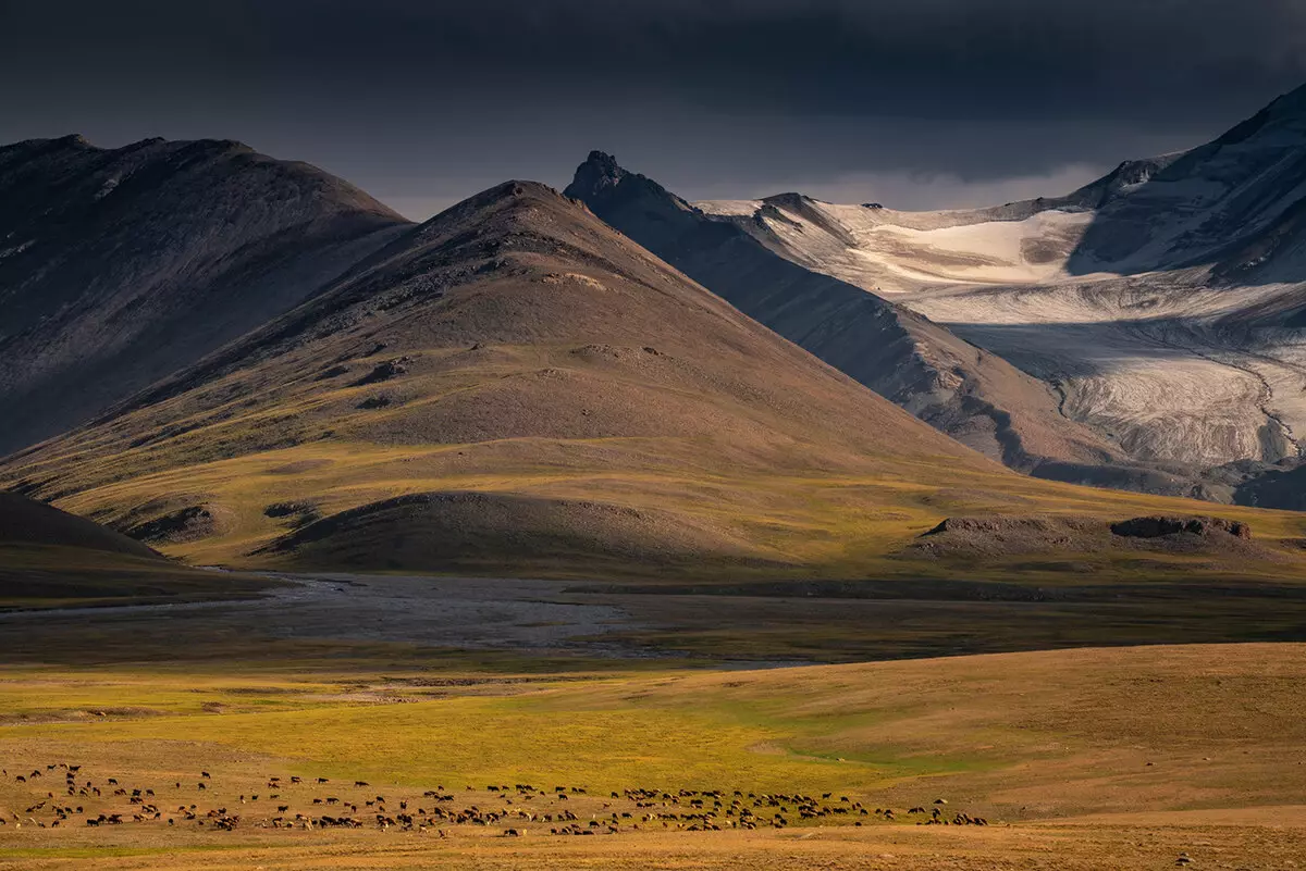 Untouched beauty of Kyrgyzstan from Albert Dros (Albert Dros) 4109_7