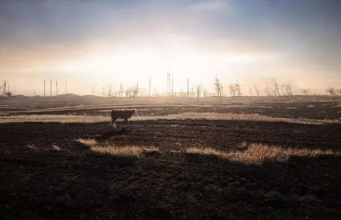 Benske landskap i Russland fra Denis Bodrov 4111_12