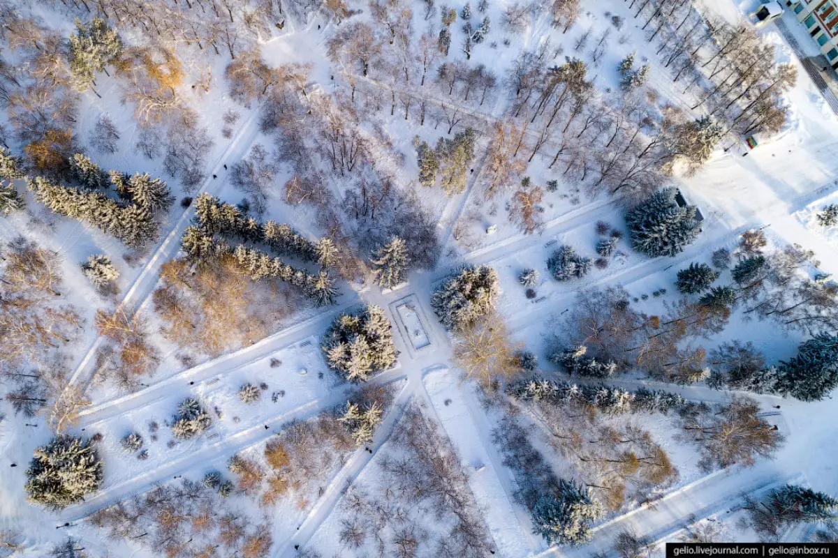 Neguko Novosibirsk - 2019: Glory Stepanova-ren argazkiak 4161_12