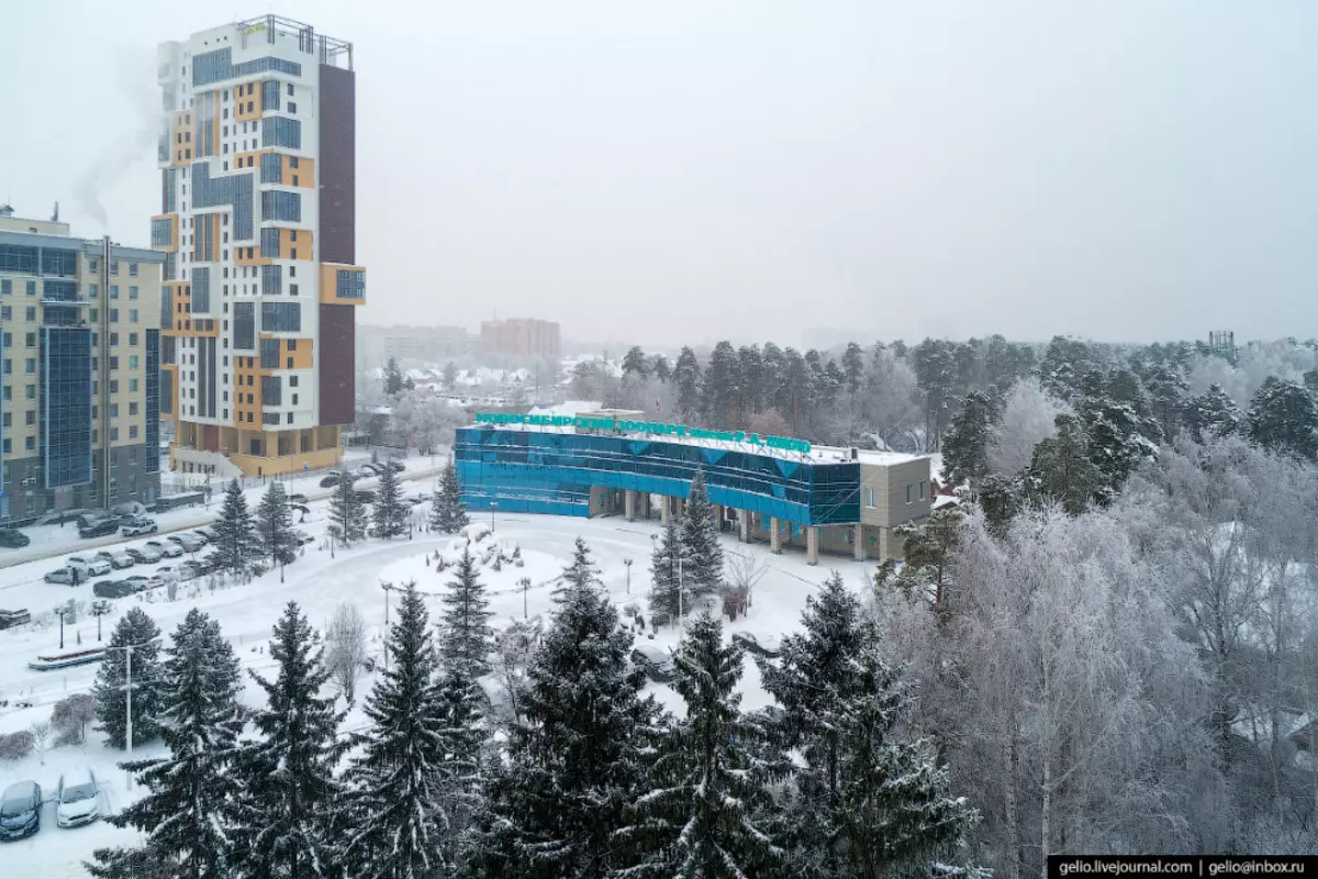 Winter Novosibirsk - 2019: Foto's van glorie Stepanova 4161_42