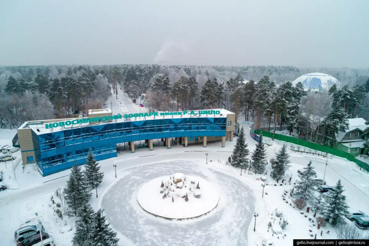 Winter Novosibirsk - 2019: fotod Glory Stepanova 4161_43