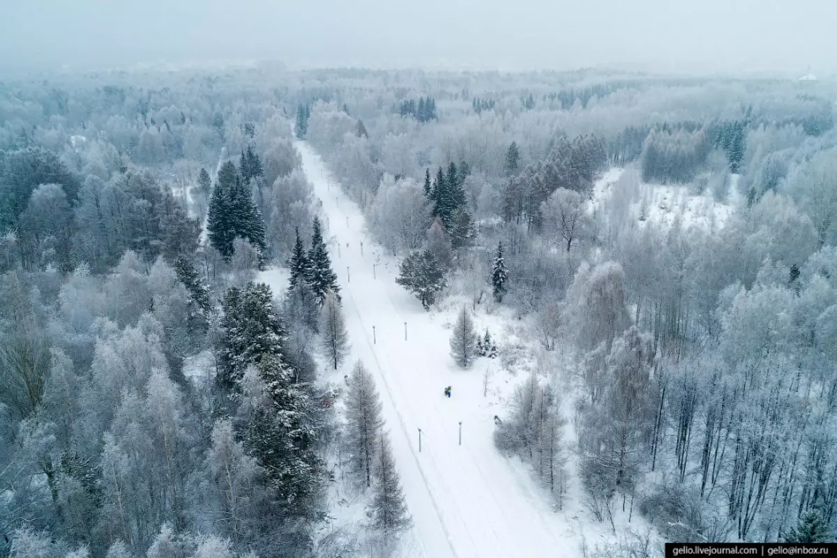 Neguko Novosibirsk - 2019: Glory Stepanova-ren argazkiak 4161_44