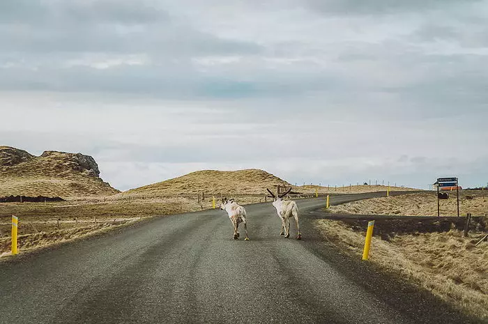 Estradas de Islandia en Fotos de Mikhalin Okreglicka (Michalina Okreglicka) 4216_15