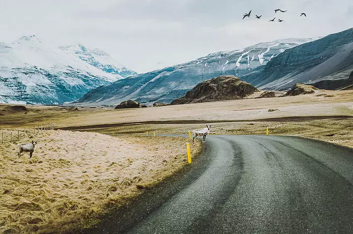 Estradas de Islandia en Fotos de Mikhalin Okreglicka (Michalina Okreglicka) 4216_2