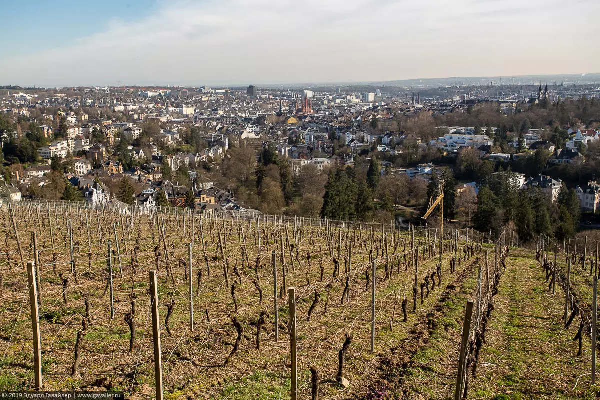 Sveiki atvykę į Wiesbaden - labiausiai Rusijos Vokietijos miestą! Fotografas Eduardas Gaváileler. 4237_18