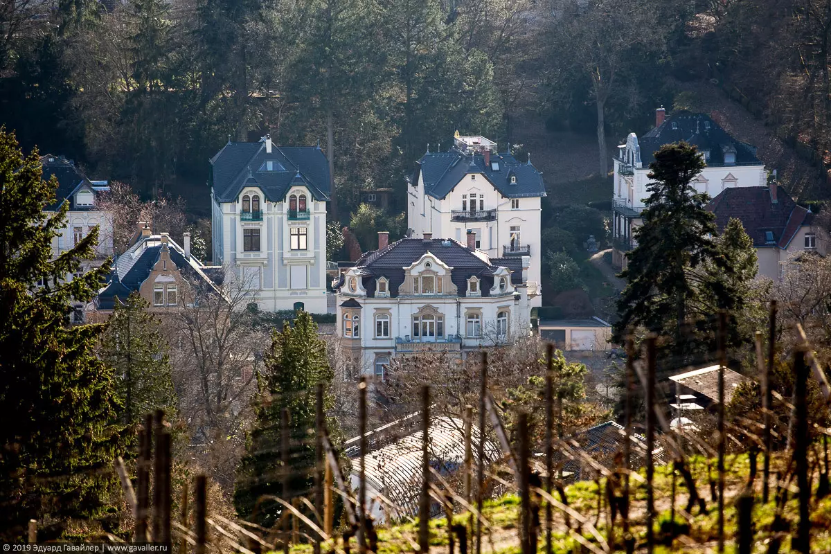 Wiesbaden-д тавтай морилно уу - ОХУ ГРОН НОГООН ХОРООЛОЛТОЙ! Гэрэл зурагчин eduard Gaváileler 4237_19