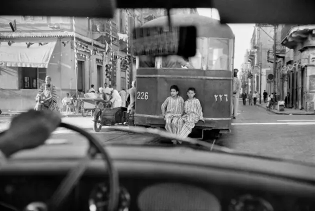 La vie sur les vitres de voiture sur les photos 4273_12