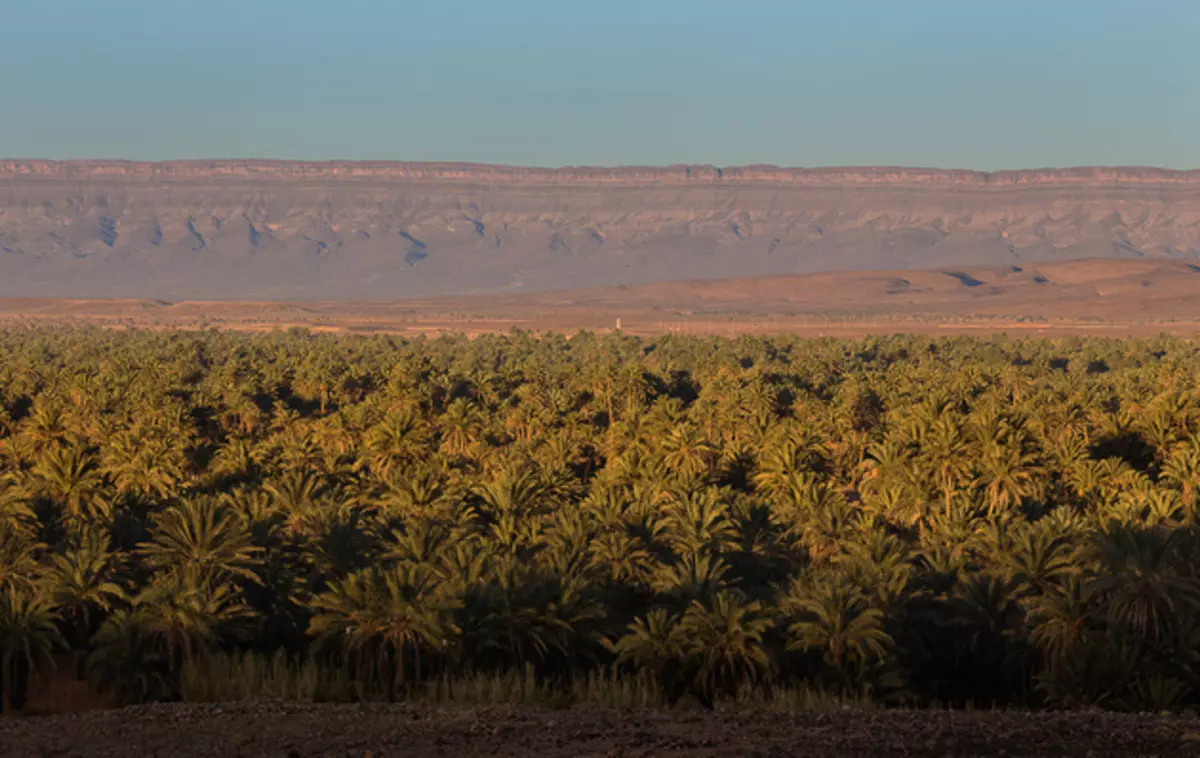 Photographing in Morocco 4384_1