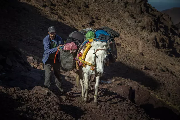 Photographing in Morocco 4384_14